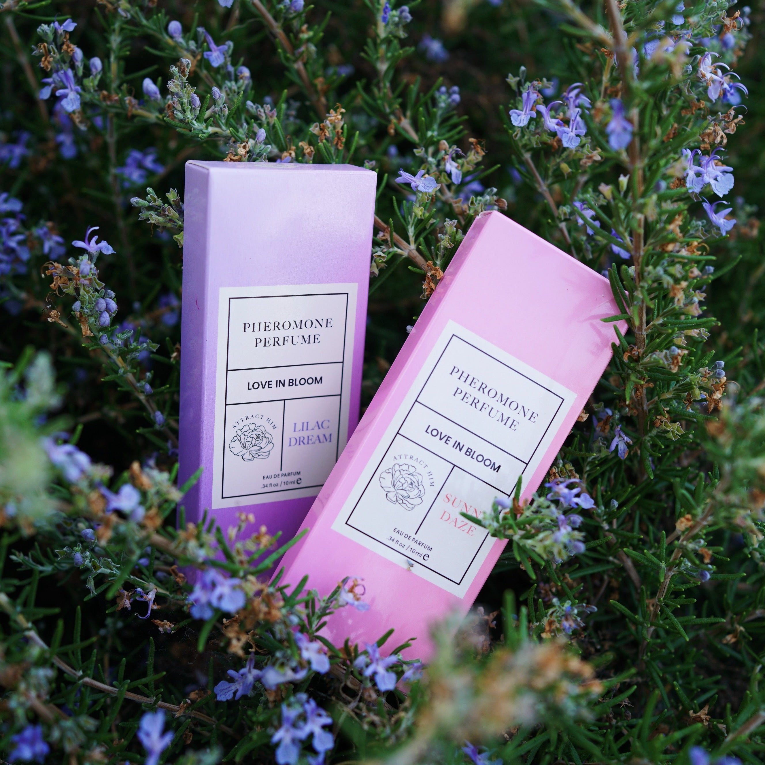 Bloom Blue Ember Pheromone Perfume – Eye of Love